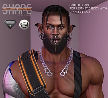 Second Life Marketplace - [SHAPEshifters] CARTER SHAPE FOR AESTHETIC ...